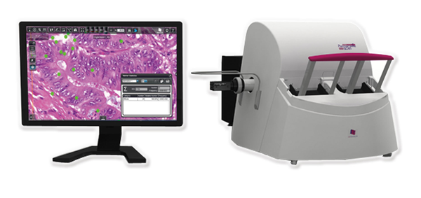 3D-histech 数字病理扫描简介 - 北京博知源生物科技有限公司